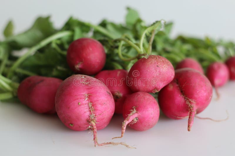 A Bunch of Red Radishes, Also Known As Table Radishes Stock Image ...