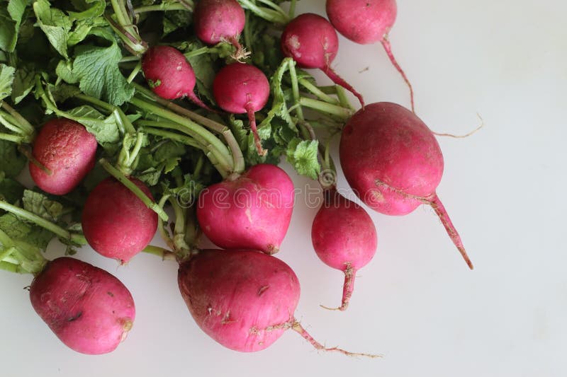 A Bunch of Red Radishes, Also Known As Table Radishes Stock Photo ...