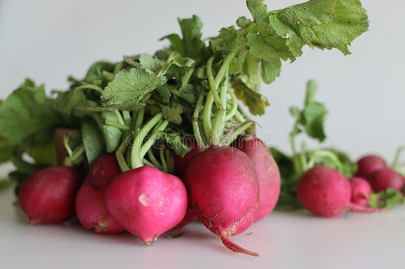 A Bunch of Red Radishes, Also Known As Table Radishes Stock Photo ...