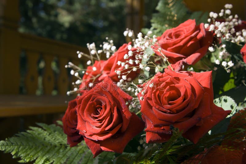 Bunch of red roses stock image. Image of bouquet, bush - 1405625