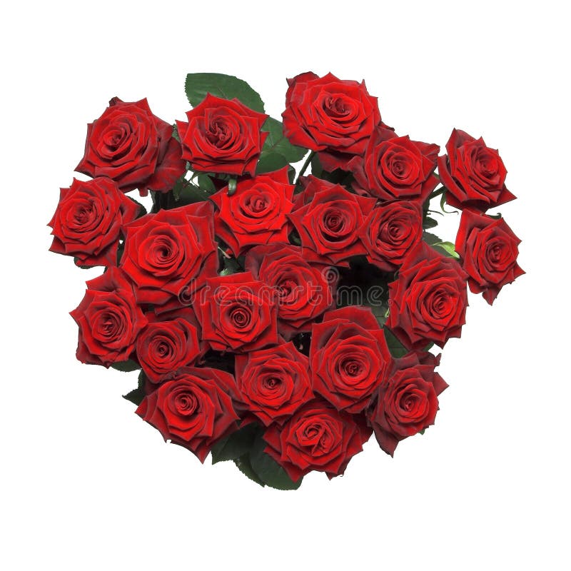 Bunch of red roses stock image. Image of bunch, bouquet - 8322447