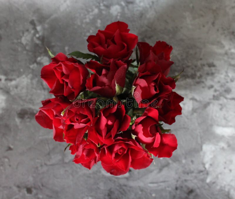 A bunch of red roses stock image. Image of bunch, flowers - 106497293