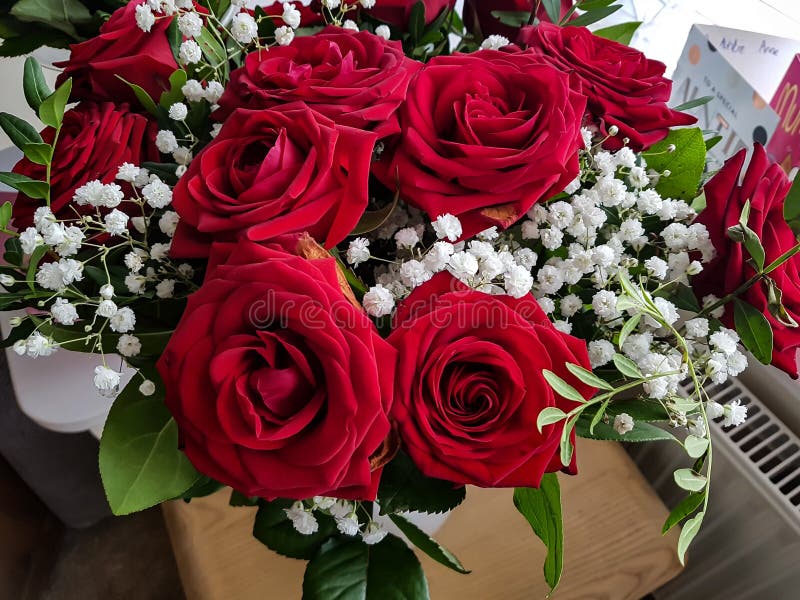 Bunch of Red Roses in a Vase Stock Photo - Image of bunch, roses: 128249568