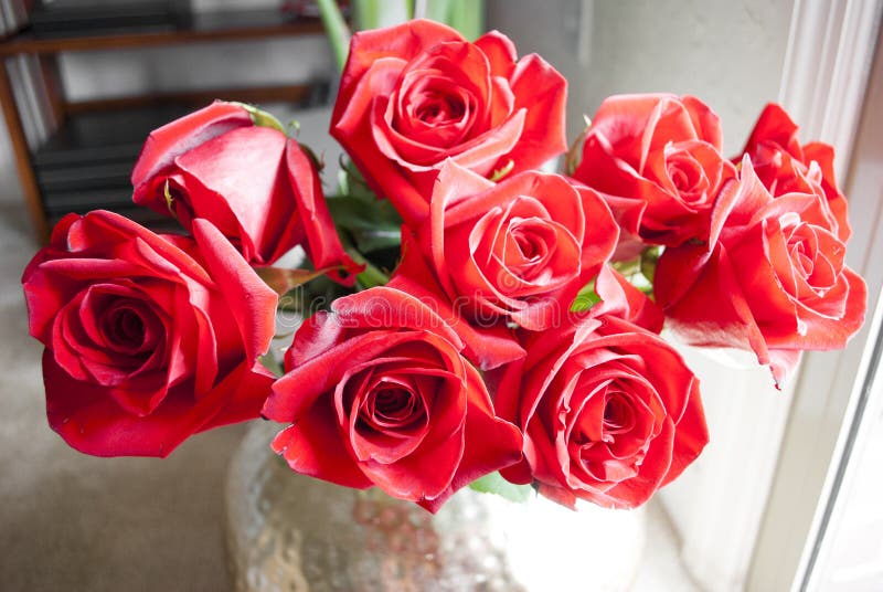 A bunch of red roses stock image. Image of concept, amour - 124178131