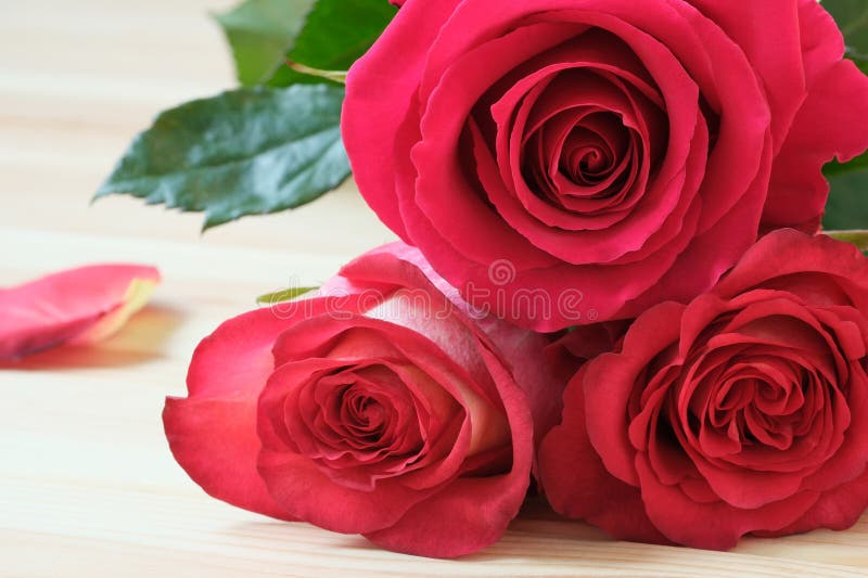 Bunch of Red Roses on Table Stock Photo - Image of beautiful, bunch ...