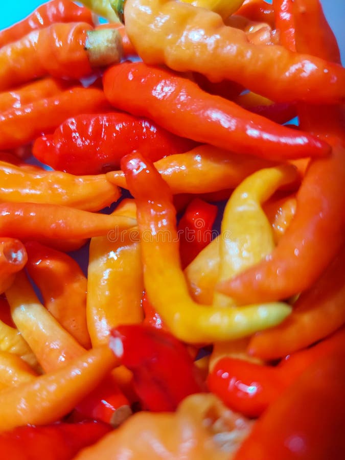 A Bunch of Red Spicy Chilli Stock Photo - Image of vegetable, citrus ...