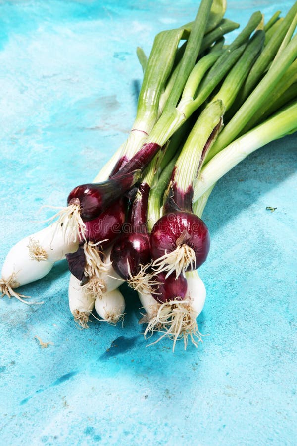 Bunch of Red and White Spring Onions Stock Image - Image of vegetarian ...