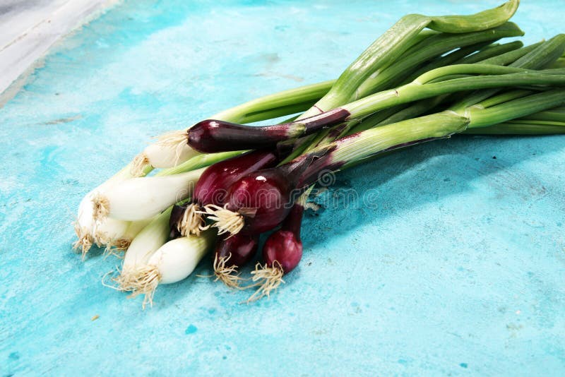 Bunch of Red and White Spring Onions Stock Photo - Image of root, bunch ...