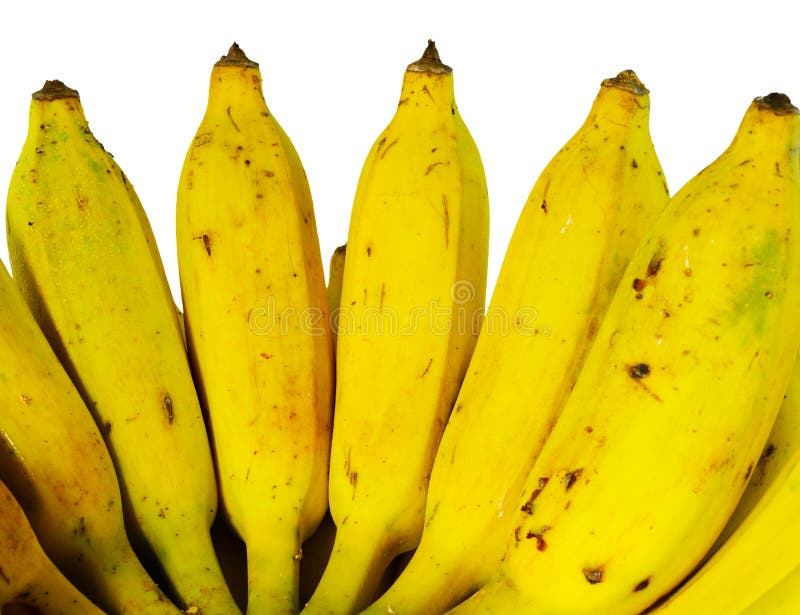 Bunch of ripe banana stock image. Image of healthy, agricultural - 31285863