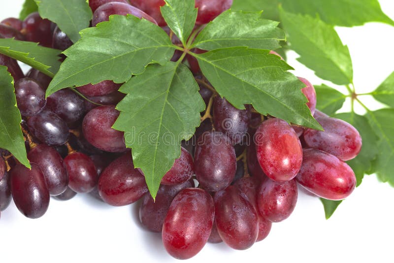 Bunch Ripe, Fresh Red Grapes with Leaves. Stock Photo - Image of bunch ...