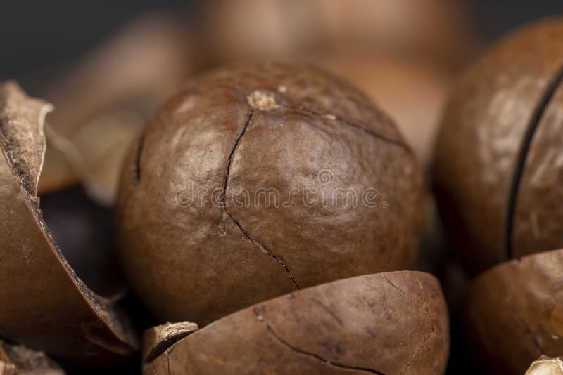 A Bunch of Ripe Macadamia Nuts in a Hard Shell Stock Photo - Image of ...