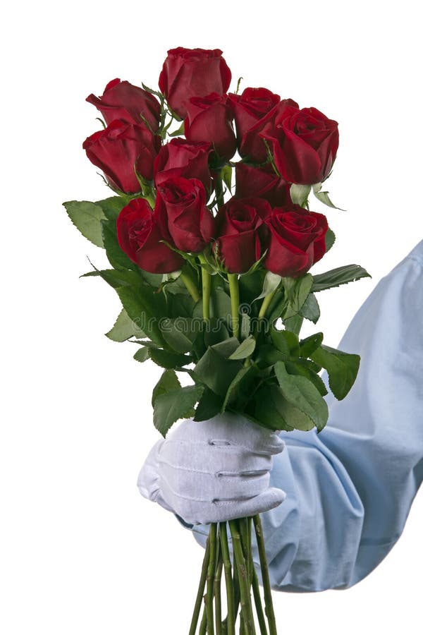 Bunch of roses stock photo. Image of bunch, hold, celebration - 23398186