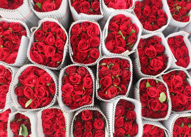 Bunch of roses wallpaper stock photo. Image of cone - 165264678
