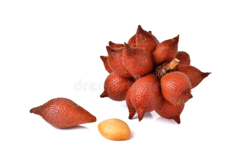 Bunch of Salacca Fruit on White Stock Photo - Image of refreshment ...