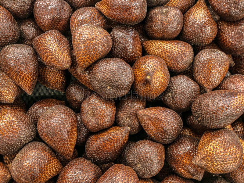 A Bunch of Salak Fruit is Brown with Prickly Skin Stock Image - Image ...