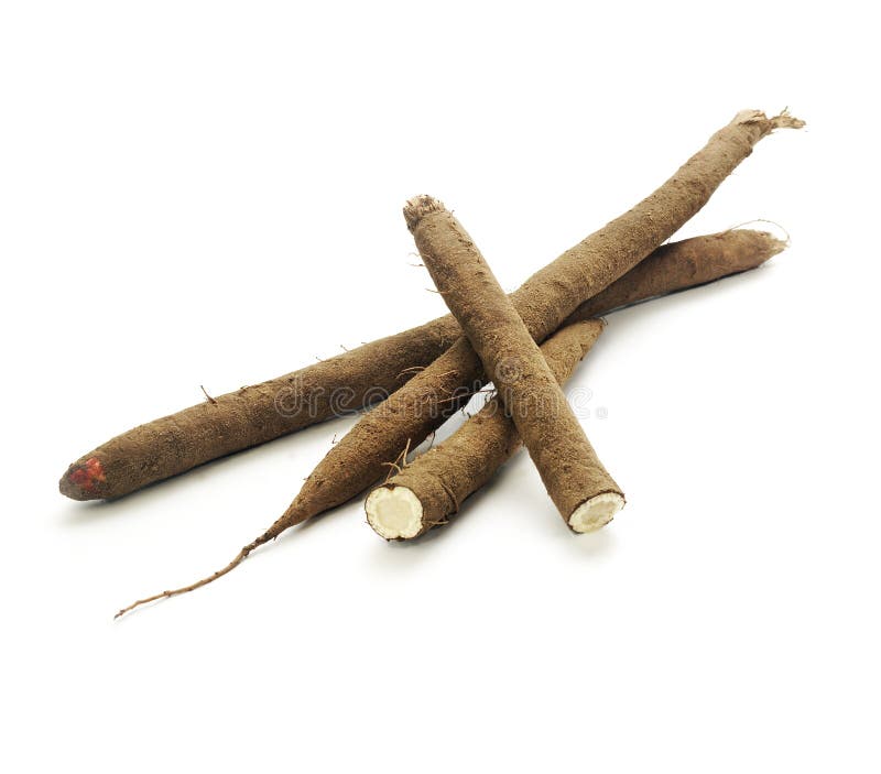Cut salsify stock image. Image of pieces, vegetable, isolated - 19100679