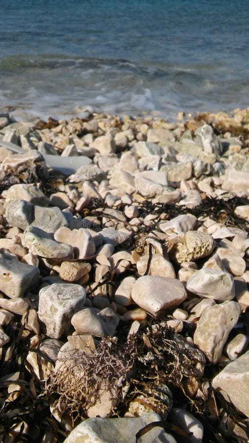 Sea Rocks on the Shore stock photo. Image of beach, shore - 116711426
