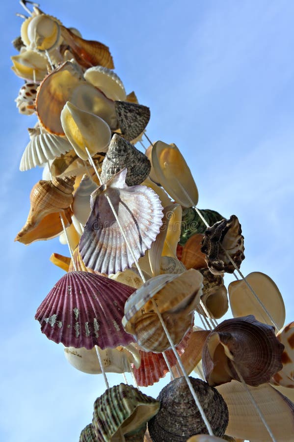 Ocean creatures stock image. Image of water, monsters - 6002973