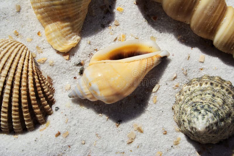 Ocean Beach and Clouds stock image. Image of gentle, scenery - 11304807