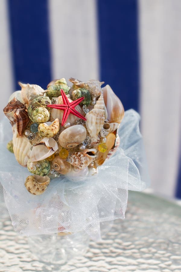 Bunch of seashells stock image. Image of shells, bunch - 62049825