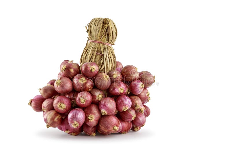 Bunch of shallots stock photo. Image of large, health - 28896238