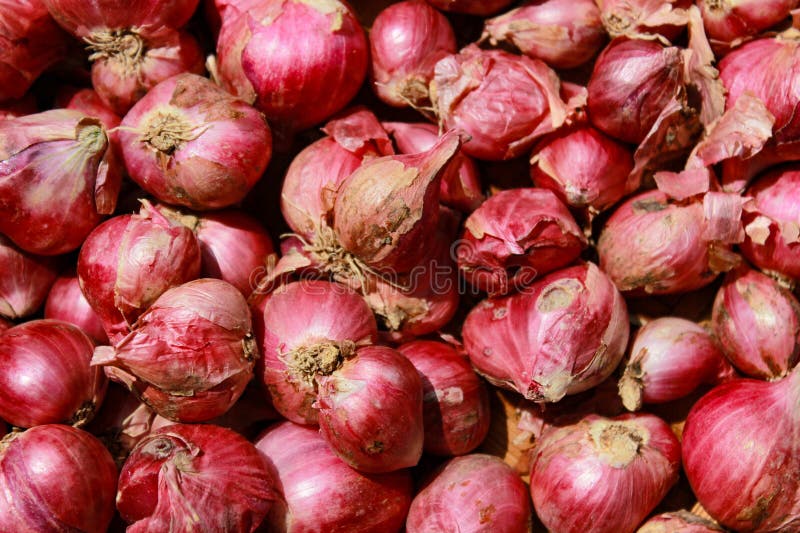 Bunch of Shallots Photographed during the Day Stock Image - Image of ...