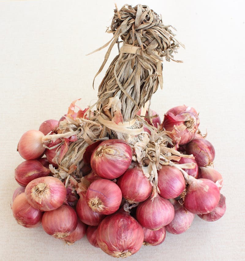 Bunch of shallots stock photo. Image of plant, shallot - 31223948