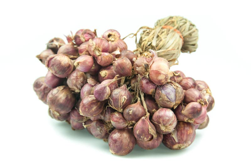 Bunch of shallots stock image. Image of shallot, ancient - 43211543