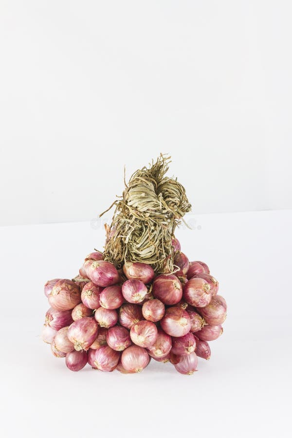 Bunch of shallots stock image. Image of leeks, braid - 49439837