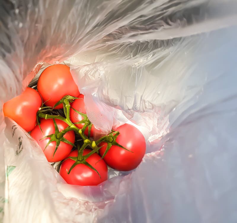 A Bunch of Red Tomatoes Packed in Plastic Stock Photo - Image of ...