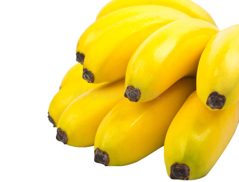 The Bunch of Small Bananas Isolated on White Stock Photo - Image of ...