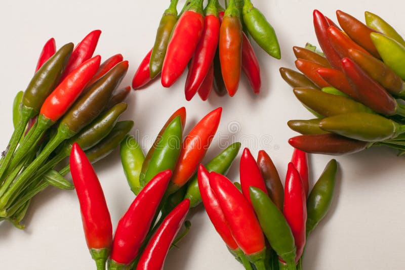 Bunch of Small Chili Peppers Stock Photo - Image of heat, ripe: 241517752