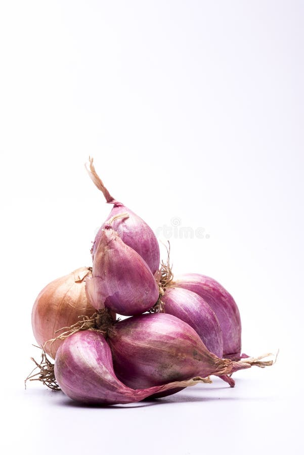 Small Onions Isolated in White Background Stock Image - Image of ripe ...