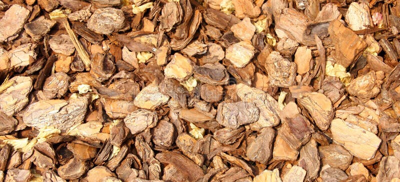 A Bunch of Small Pieces of Bark Stock Image - Image of combustion ...