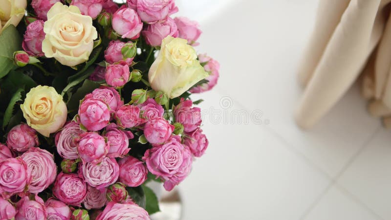 Bunch of small pink Roses stock image. Image of blossom - 95695501