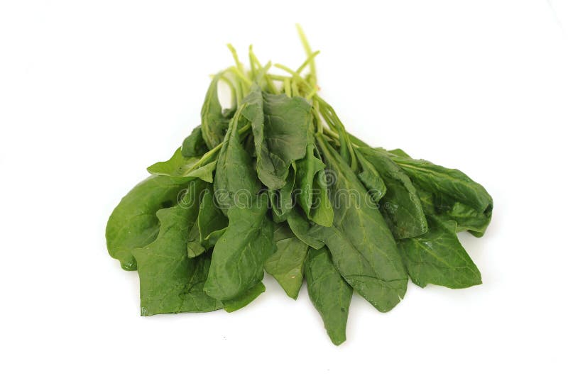 Spinach Isolated stock image. Image of heap, macro, cuisine - 29525769