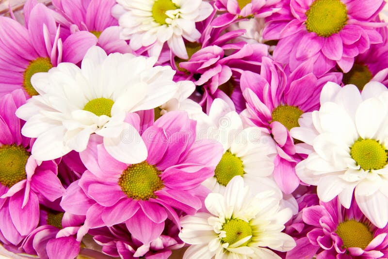 Bunch of spring flowers stock photo. Image of arrangement - 24760154