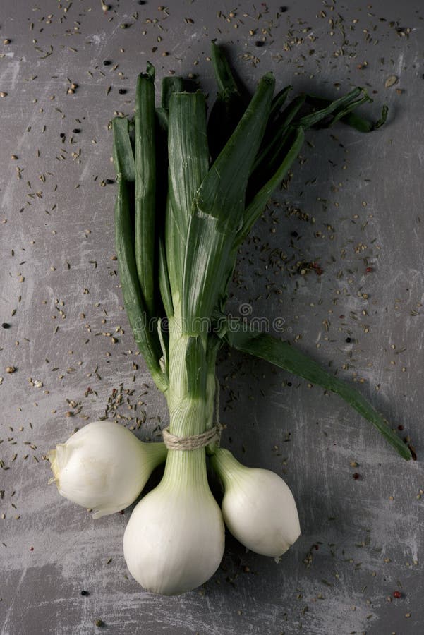 Bunch of spring onions stock photo. Image of farm, agricultural - 110547574