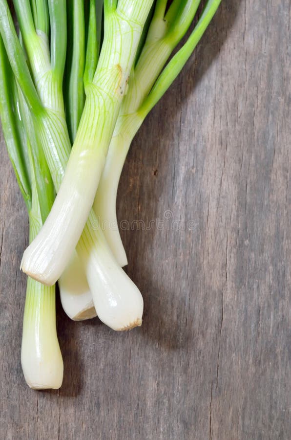 Bunch of spring onions stock image. Image of lunch, group - 40634607