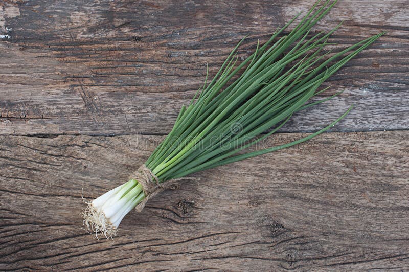 Bunch of spring onions stock image. Image of green, baby - 74555897