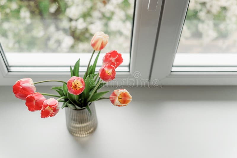 A Bunch of Spring Tulip Flowers on Window Sill with White Blooming ...