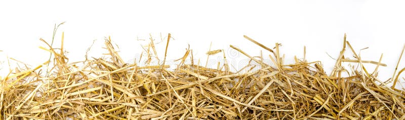 Straw hat stock photo. Image of easter, ribbon, closeup - 24866722