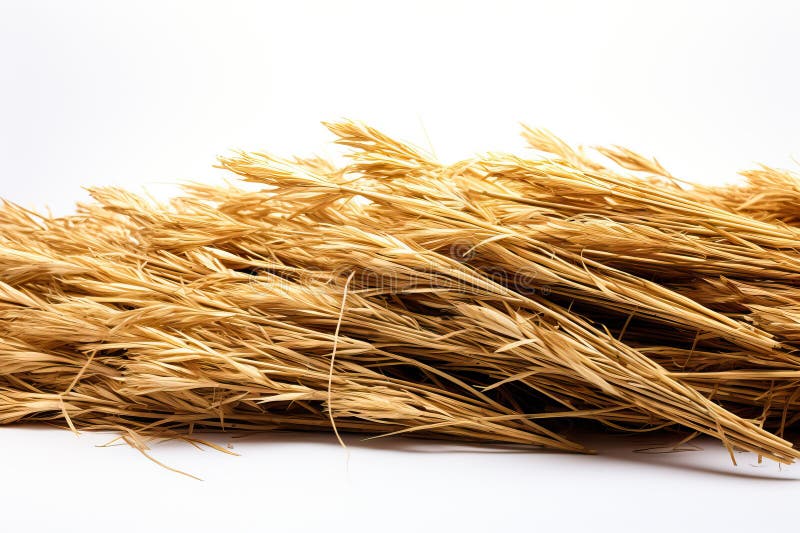 A Bunch of Straw As Border, Isolated with White Background Stock Image ...