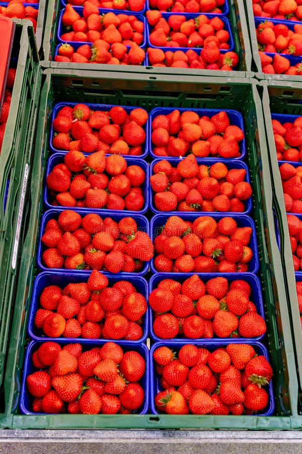 Bunch of Strawberries are Stacked Up in Bins in Store Stock Photo ...