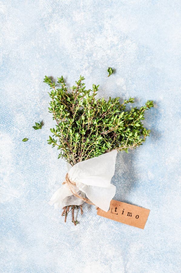 A Bunch of Thyme stock photo. Image of healthy, language - 152375188