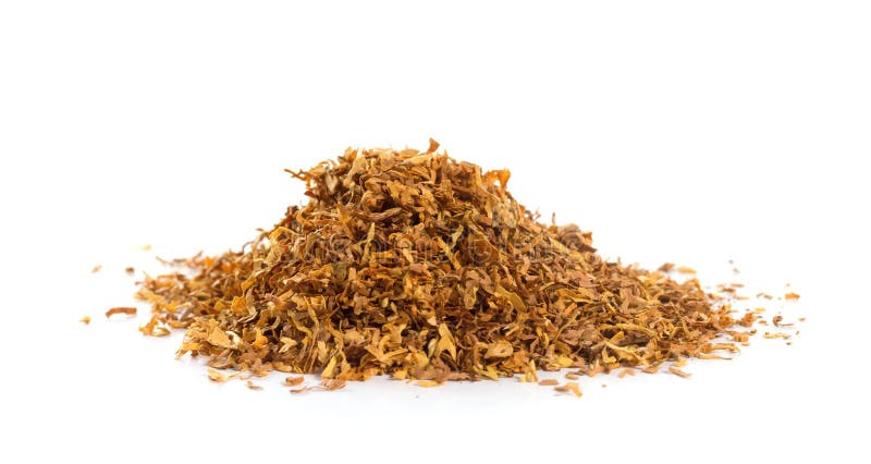 Tobacco stock photo. Image of organic, smoking, dried - 14150256