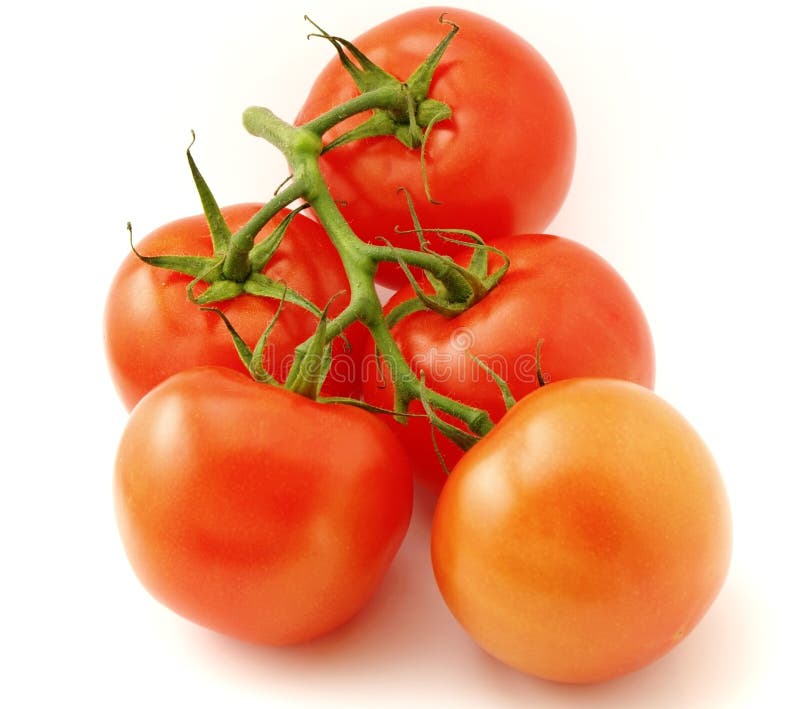 The bunch of tomatoes stock image. Image of nature, kitchen - 3640649