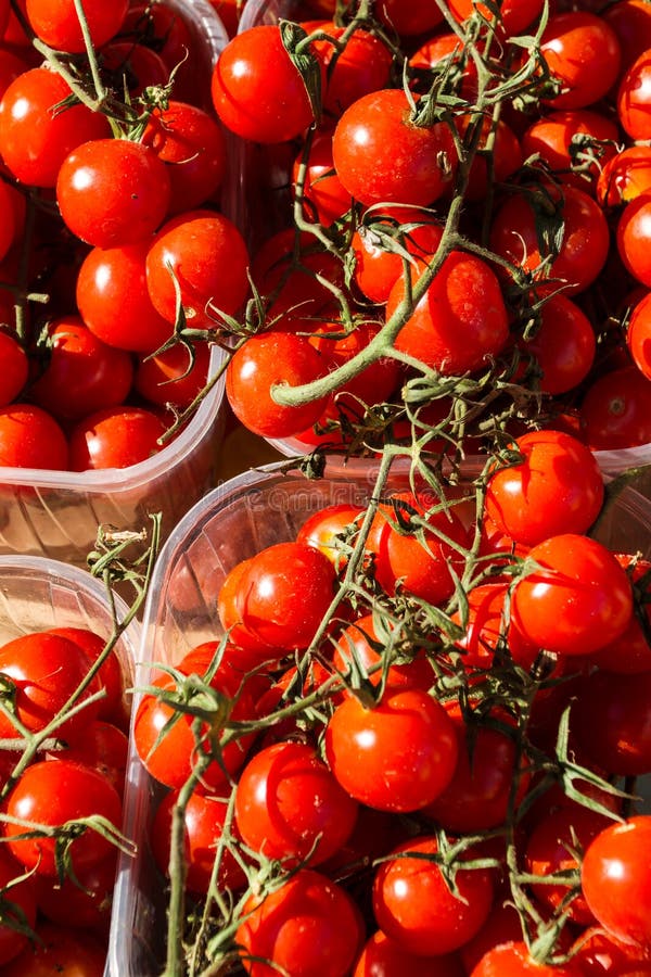 Bunch of tomatoes stock image. Image of closeup, culinary - 34836165