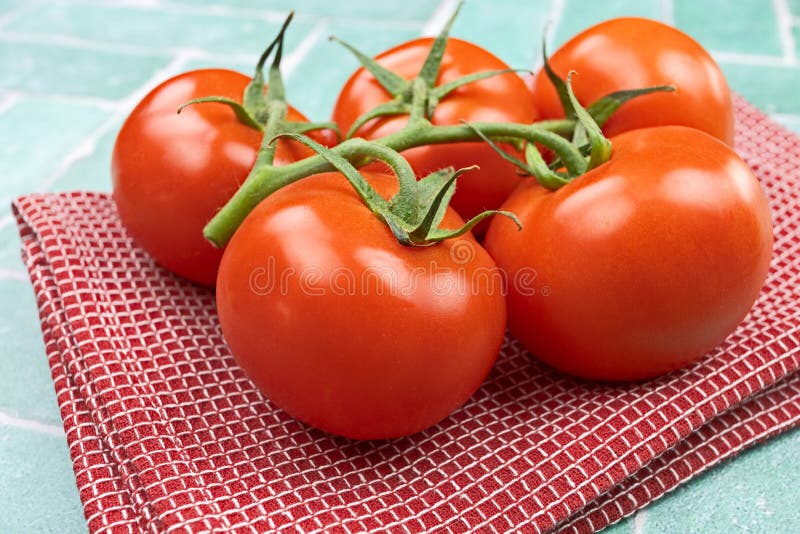 Bunch of tomatoes stock image. Image of cooking, organic - 232941