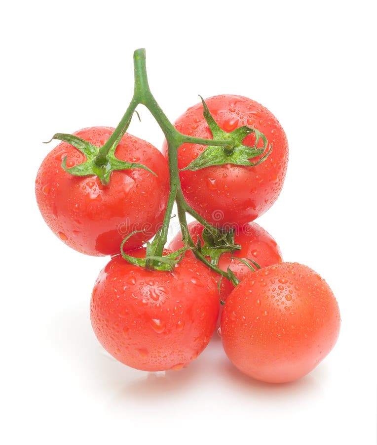 A Bunch of Tomatoes Closeup on White Background Stock Image - Image of ...